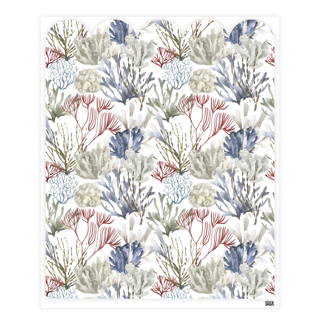 Coral Reef Scallop – Stickaroo