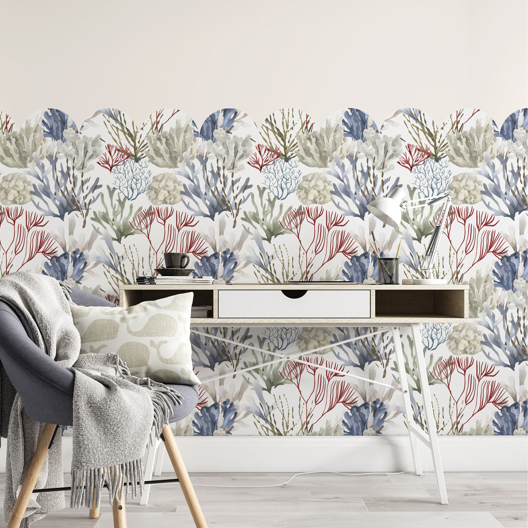 Coral Reef Scallop – Stickaroo