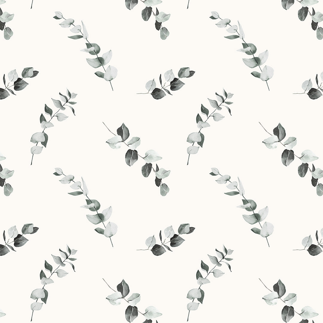 Eucalyptus Wallpaper – Stickaroo