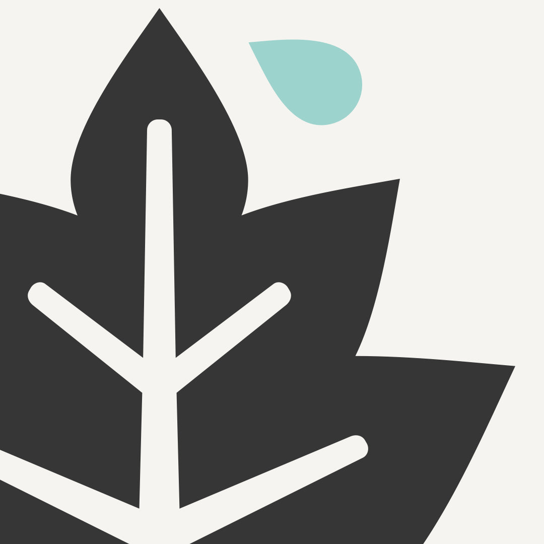 Leaf Print – Stickaroo