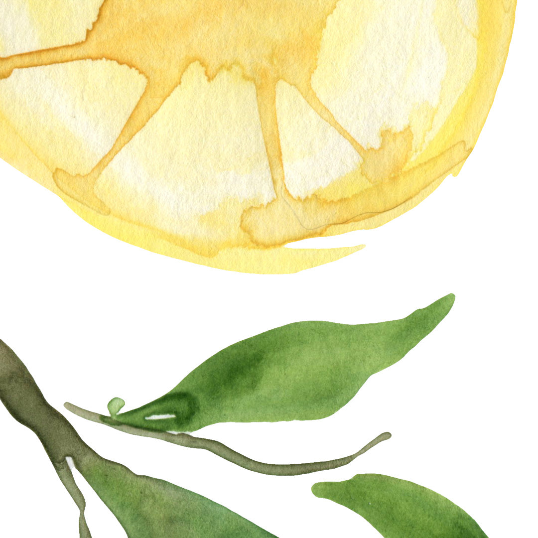 Lemons – Stickaroo