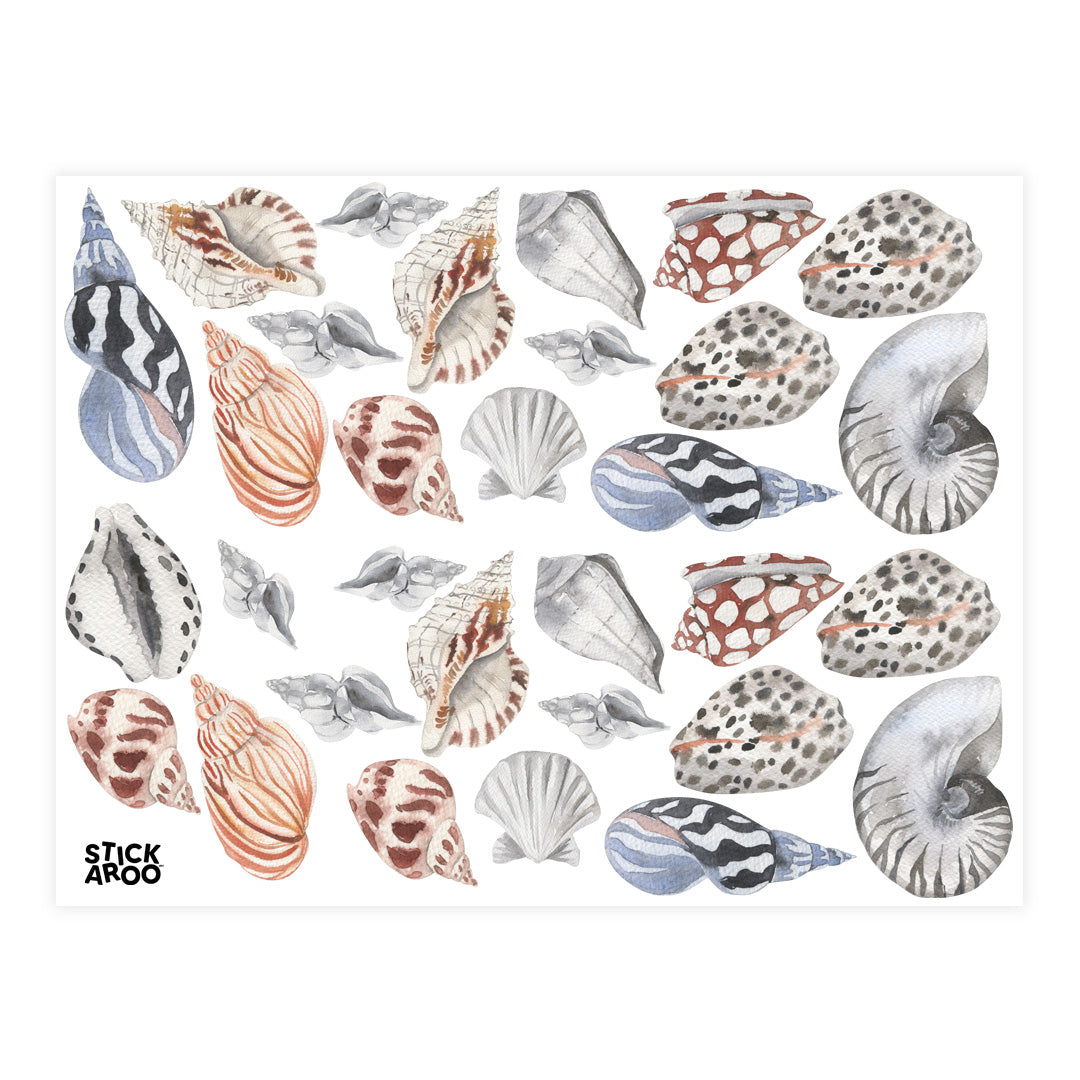 Oceana Shells – Stickaroo