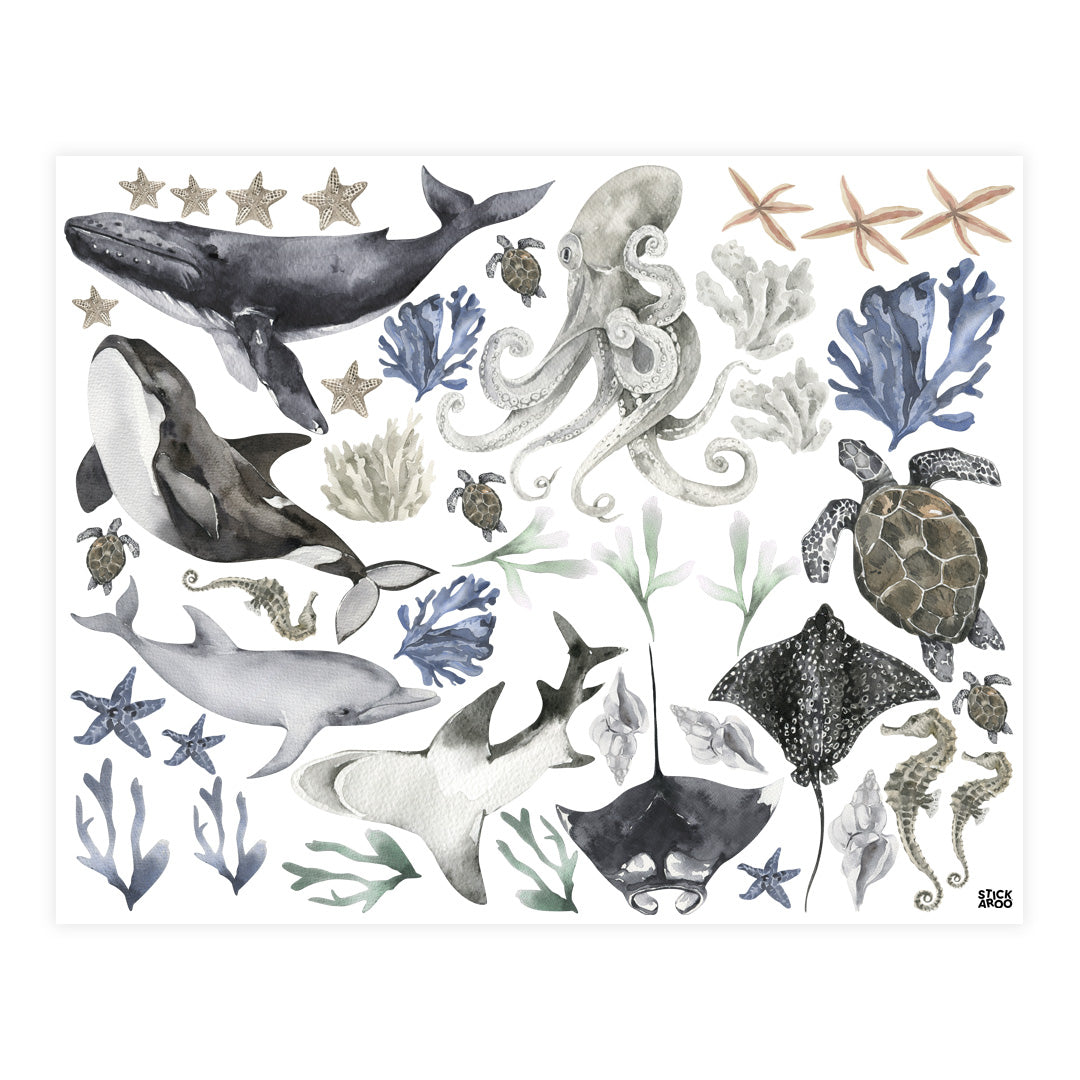 Oceana – Stickaroo