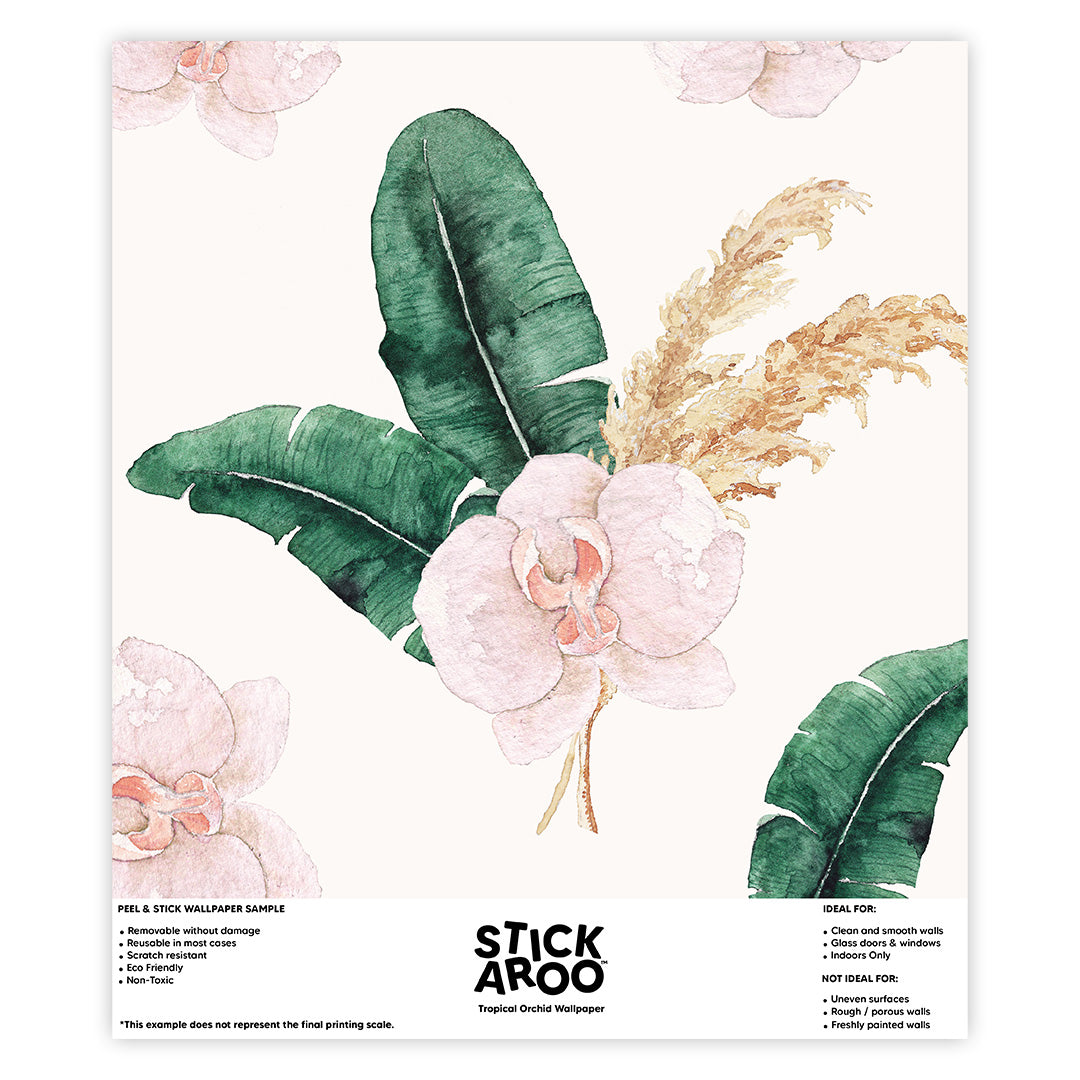 Tropical Orchid Wallpaper – Stickaroo