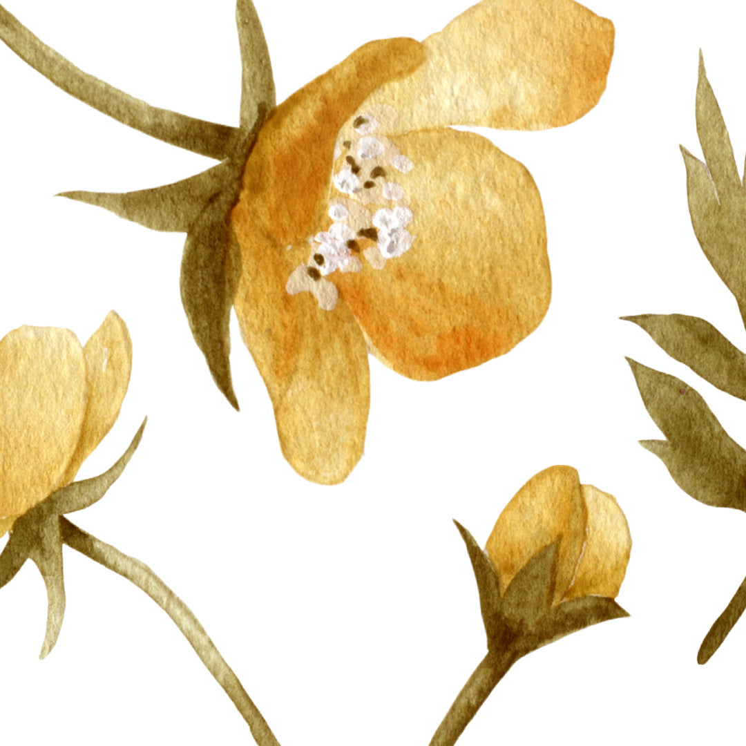 Buttercups – Stickaroo