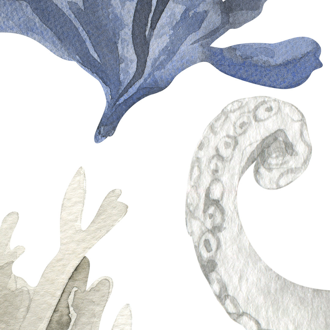 Oceana – Stickaroo