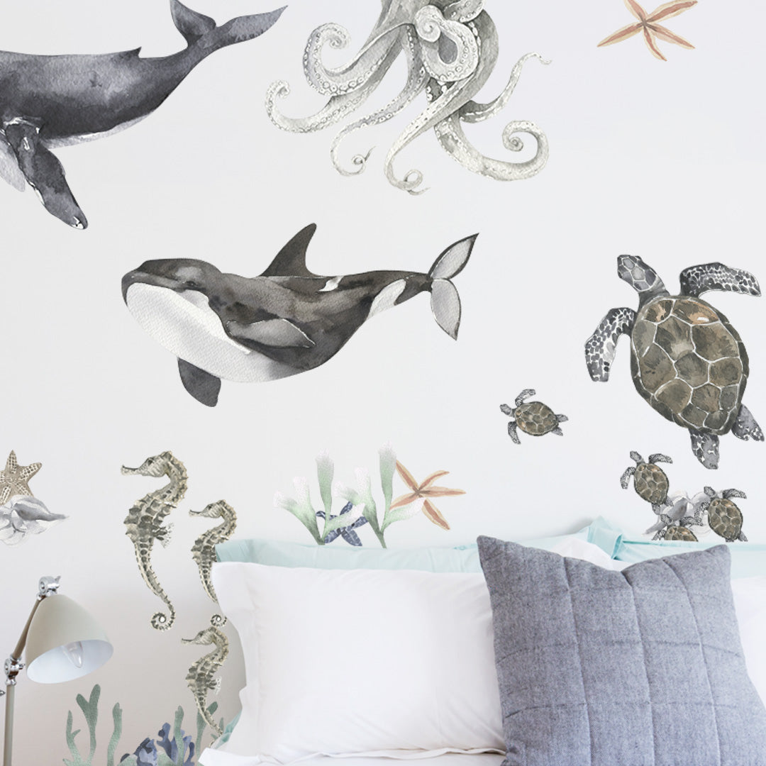 Oceana – Stickaroo